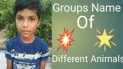 Groups Name Of Diffrent Animal Youtube