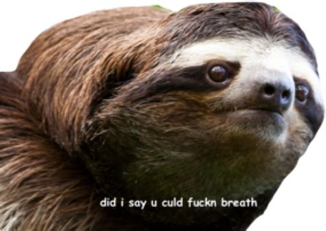 Download Sassy Sloth Meme