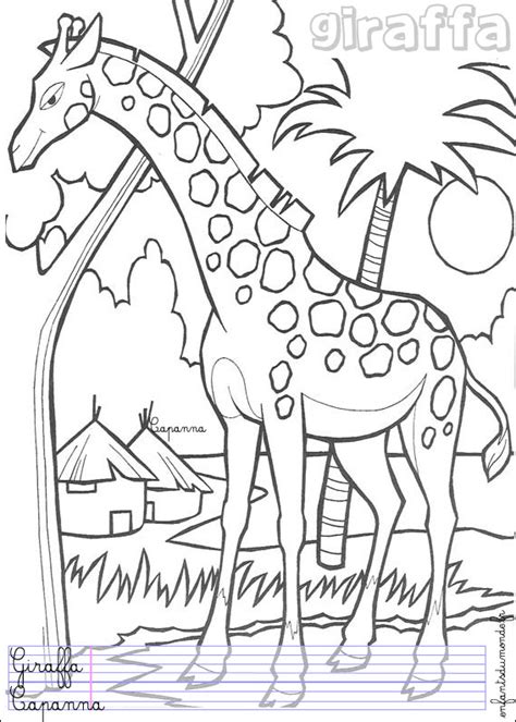 37 Jungle Animaux Sauvages Coloriage Animaux