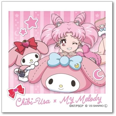 駿河屋 ちびうさ×マイメロディ ダイカットステッカーミニ 「美少女戦士セーラームーンシリーズ×サンリオキャラクターズ」（シール・ステッカー）