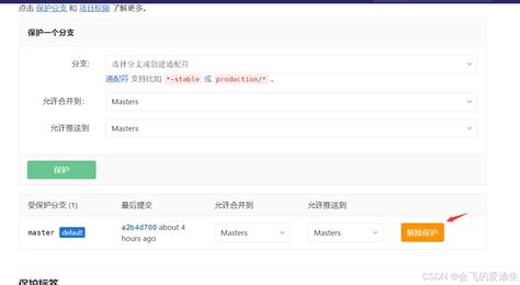 gitlab保护分支设置 gitlab设置保护分支 csdn博客