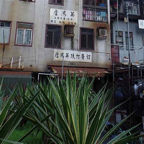 詹鴻英跌打醫館 骨傷科 腰脊 針炙 鐵打 醫療健康 hk861