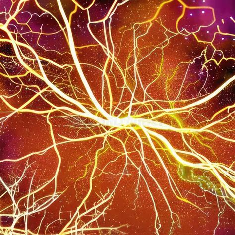 Neuron Cell Network Model Generative Ai Stock Illustration