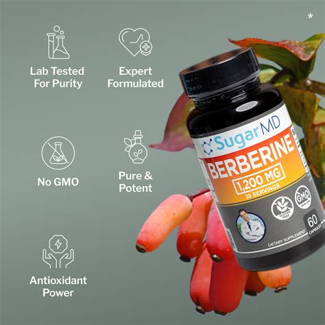 A Complete Overview Of Berberine Benefits Side Effects And Dosage