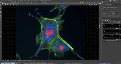 ND File Extension File Extensions Org