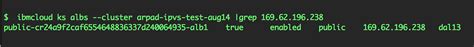 how can i isolate do maintenance and debug an alb ingress controller