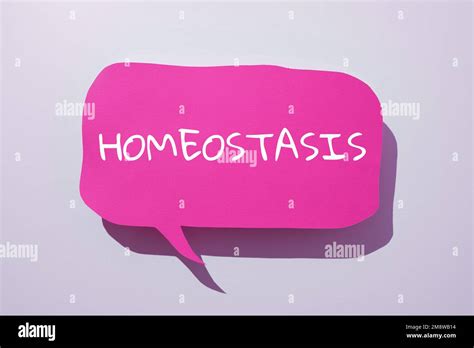 Handwriting Text Homeostasis Internet Concept The Tendency Toward A Equilibrium Between