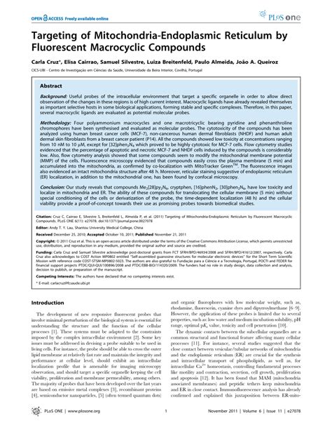 Pdf Targeting Of Mitochondria Endoplasmic Reticulum By Fluorescent Macrocyclic Compounds