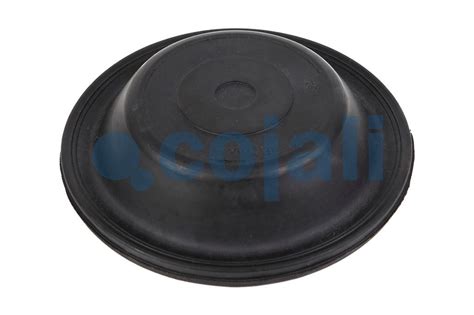 6001100 8971204954 09 Diaphragm Normal Stroke Cojali Parts