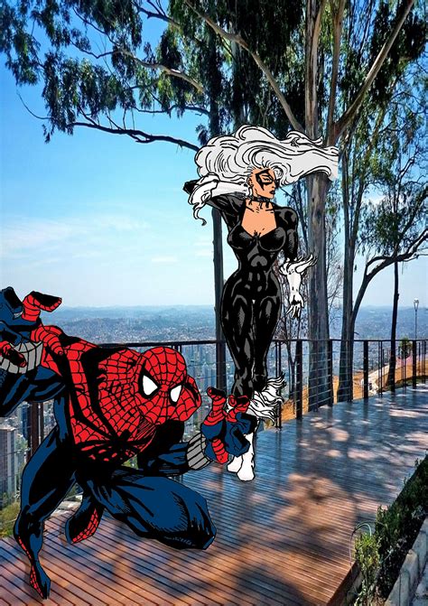 Homem Aranha E Gata Negra Fanzines