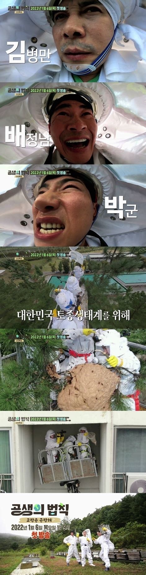 공생의 법칙 3천 마리 말벌떼에 둘러싸인 김병만 배정남 박군 긴장