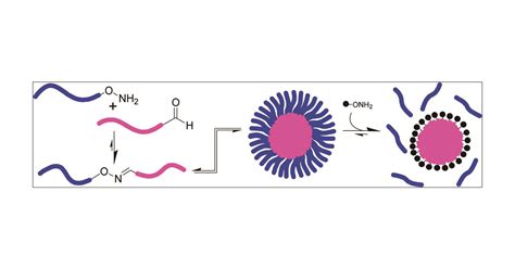 Dynamic Covalent Diblock Copolymers Prepared From Raft Generated Aldehyde And Alkoxyamine End