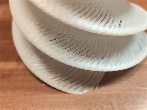 Printing In Vase Mode Whats Wrong Rbambulab
