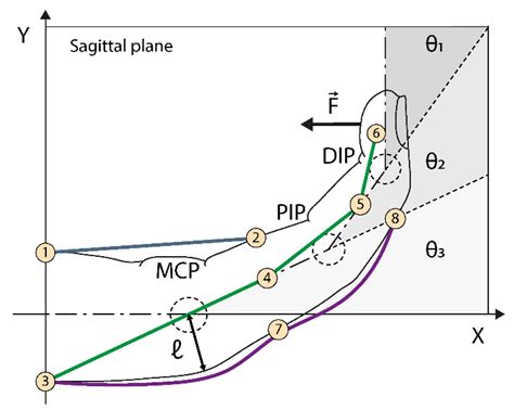 Kinematic Representation Of The Model Showing The Points Considered