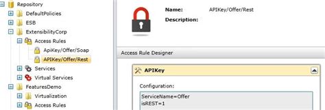 Sentinet Extensibility Custom Access Rule Expression Codit