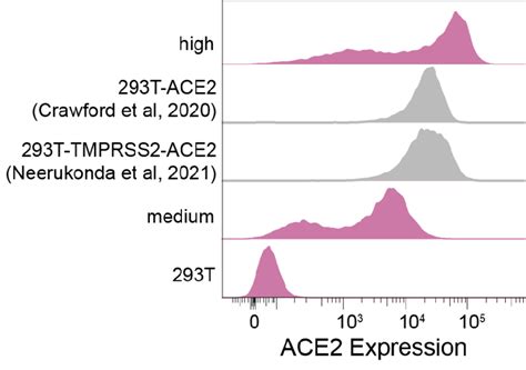 Fig S1 Ace2 Expression In Previously Published Ace2 Over Expressing