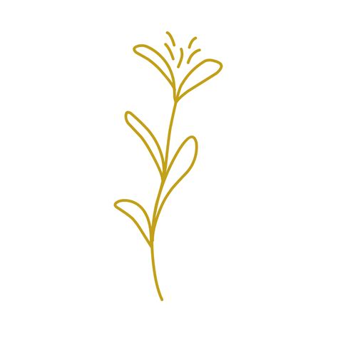 Gold Leaf Line 33172755 PNG