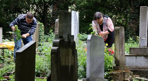 Навръх Задушница Жена се намушка с нож на гробищата в Дупница Lupa Bg