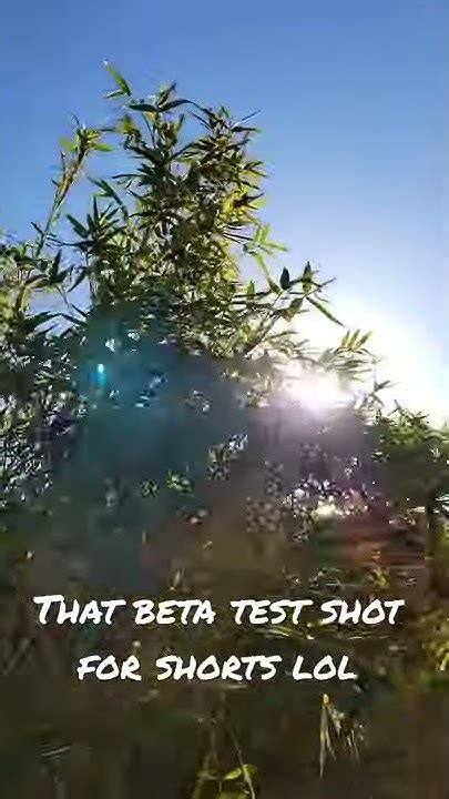 testing shorts youtube
