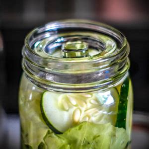 Prep Savour Fermentation Pickling Piece Mason Jar Set Wayfair