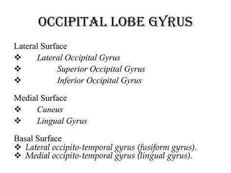 Anatomy Of Brain Sulcus And Gyrus Drsajith Md Rd Pptx