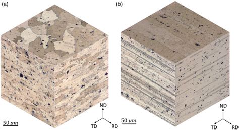 3d Optical Micrographs Of Base Materials Grain Structure In T3 Heat