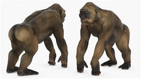 Big Ape Gigantopithecus Stands On Four Limbs 3d Model 3d Molier International Big Ape Gigantopithecus Stands On Four Limbs 3d Model 3d Molier International
