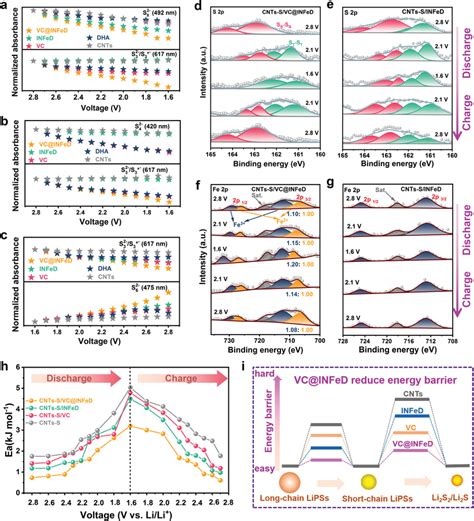 Dynamic Sulfur Conversion Recorded By Inex Situ Spectroscopies