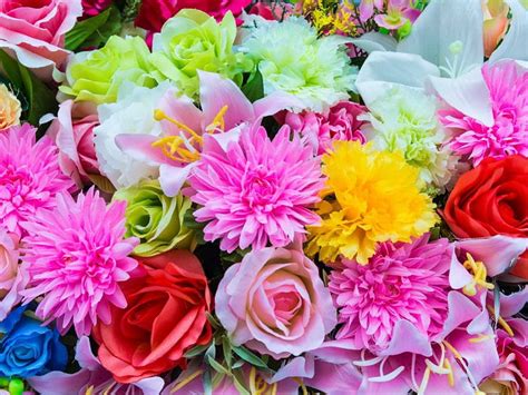 Hd Colorful Flowers