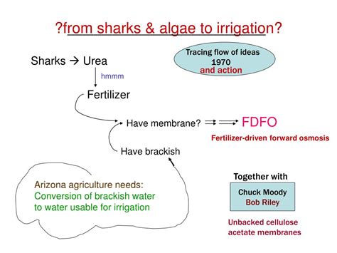 Ppt Forward Osmosis Powerpoint Presentation Free Download Id 6595194