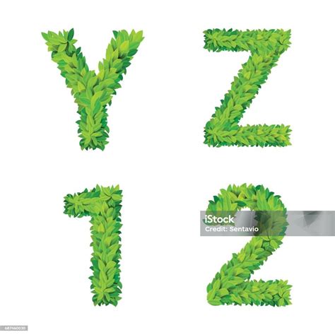 Abc 잔디 편지 번호 요소를 나뭇잎 현대 자연 플 라 카드 레터링 잎이 낙 엽 벡터 세트 Y Z 1 2 잎 애기 엽 자연 편지 라틴어 영어 알파벳 글꼴 컬렉션입니다 벡터에