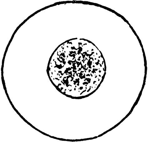 Cell Clipart Black And White 10 Free Cliparts Download Images On