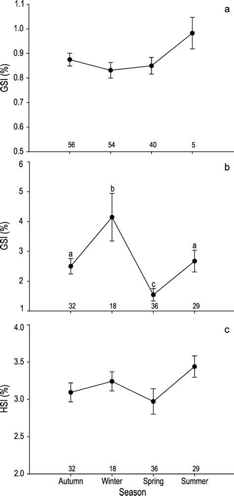 Pdf Reproductive Biology Of The Angular Angel Shark Squatina
