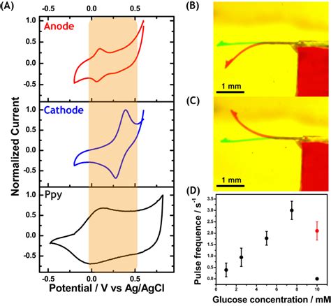 Thermodynamic Characterization Autonomous Mono Enzymatic Actuation And Download Scientific