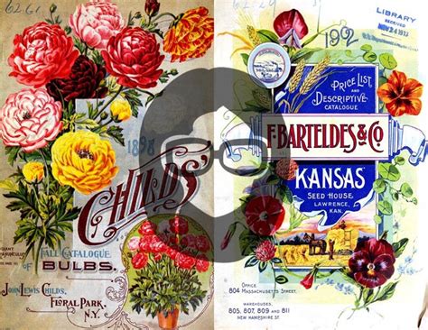 Vintage Seed Catalog Ephemera Printable Paper Pack Set 79 Etsy