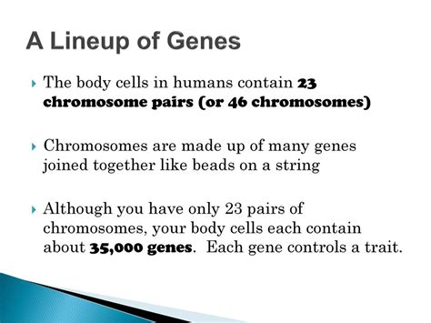 The Cell And Inheritance Ppt Download
