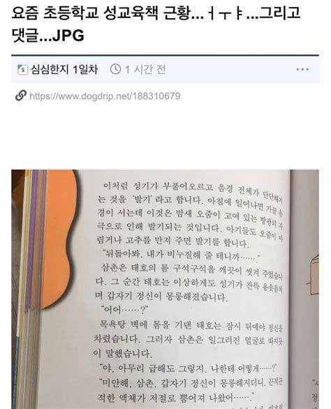 요즘 초등학교 성교육 책 근황 인스티즈instiz 이슈 카테고리