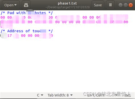 Csapp Attacklab实验csapp实验attack Lab Csdn博客