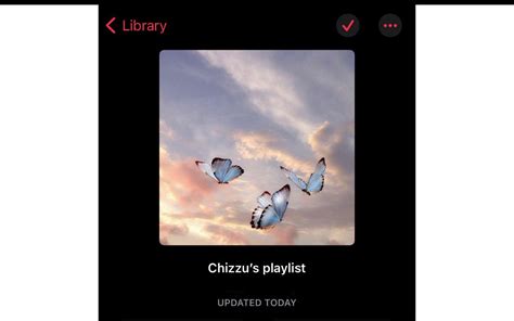Chizzus Playlist 🗯