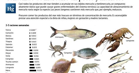 Reflexiones Por Un Mundo Mejor Contenido De Mercurio En Peces Y Mariscos