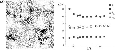 A Non Affine Displacement Field Upon Shear Deformation Showing Download Scientific Diagram