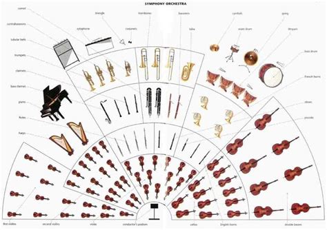 Why Is The Orchestra Seated That Way An Explanation WQXR New York