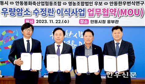안동 ‘우량암소 수정란 이식사업 민관협력 업무협약