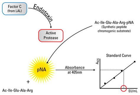 Overview Of Endotoxin Testing Methods Thermo Fisher Scientific Us