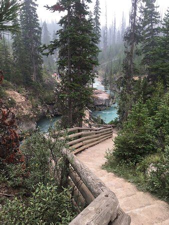 Kootenay National Park Radium Hot Springs 2019 All You Need To Know