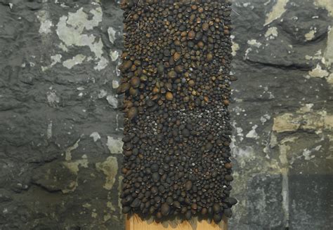 Hollow Objects Mhairi Vari