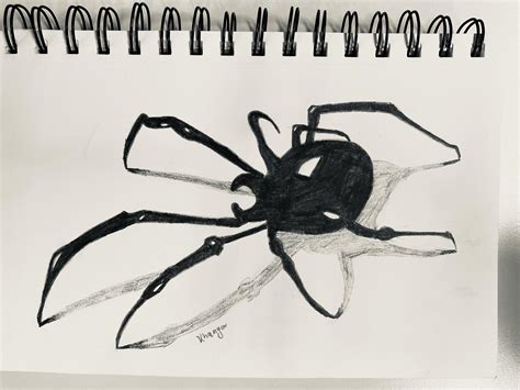Did A Spider Study I Am Quite Proud Of R Learntodraw