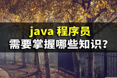Java 程序员需要掌握哪些知识? 知乎 Java 程序员需要掌握哪些知识? 知乎
