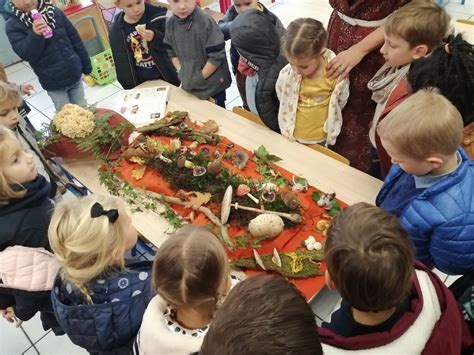 Découverte de champignons en maternelle Ensemble Scolaire Saint Charles